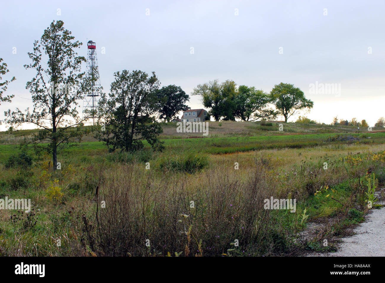 Collins Marsh Wildlife Management Area (WMA) and its historic fire ...