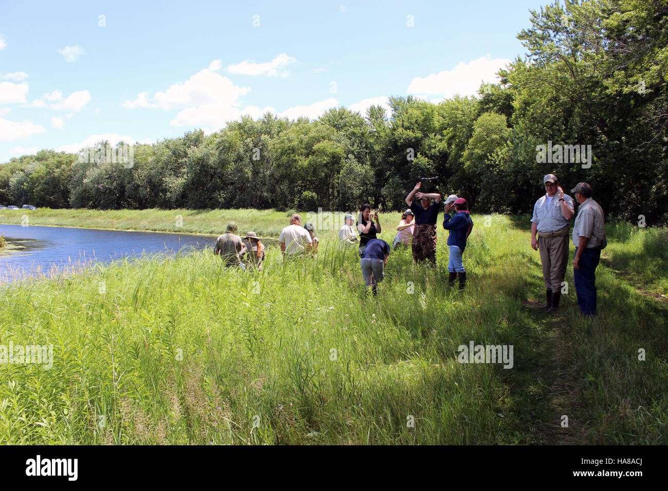The Sweet Marsh Wildlife Management Area in Iowa serves as a crucial ...