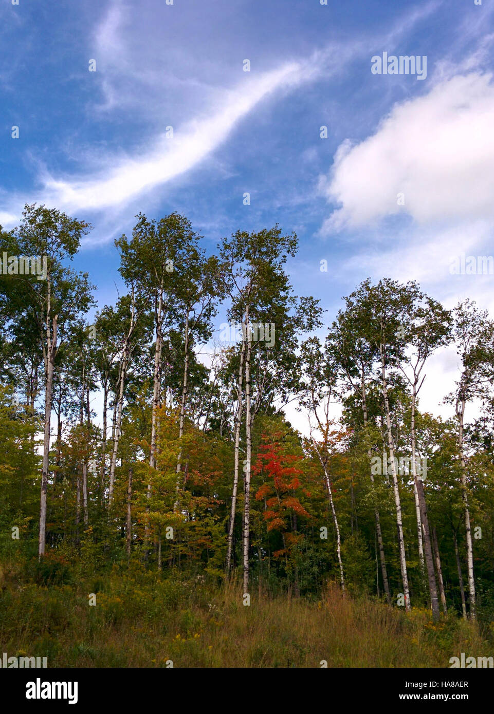 Early fall colors in national parks offer a spectacular display of ...