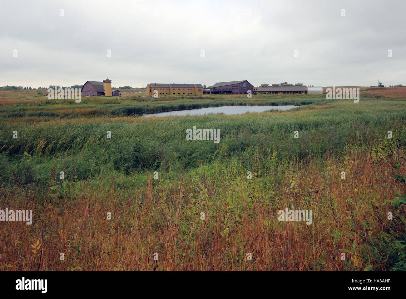 Fall at the Prairie Wetlands Learning Center offers visitors the chance ...