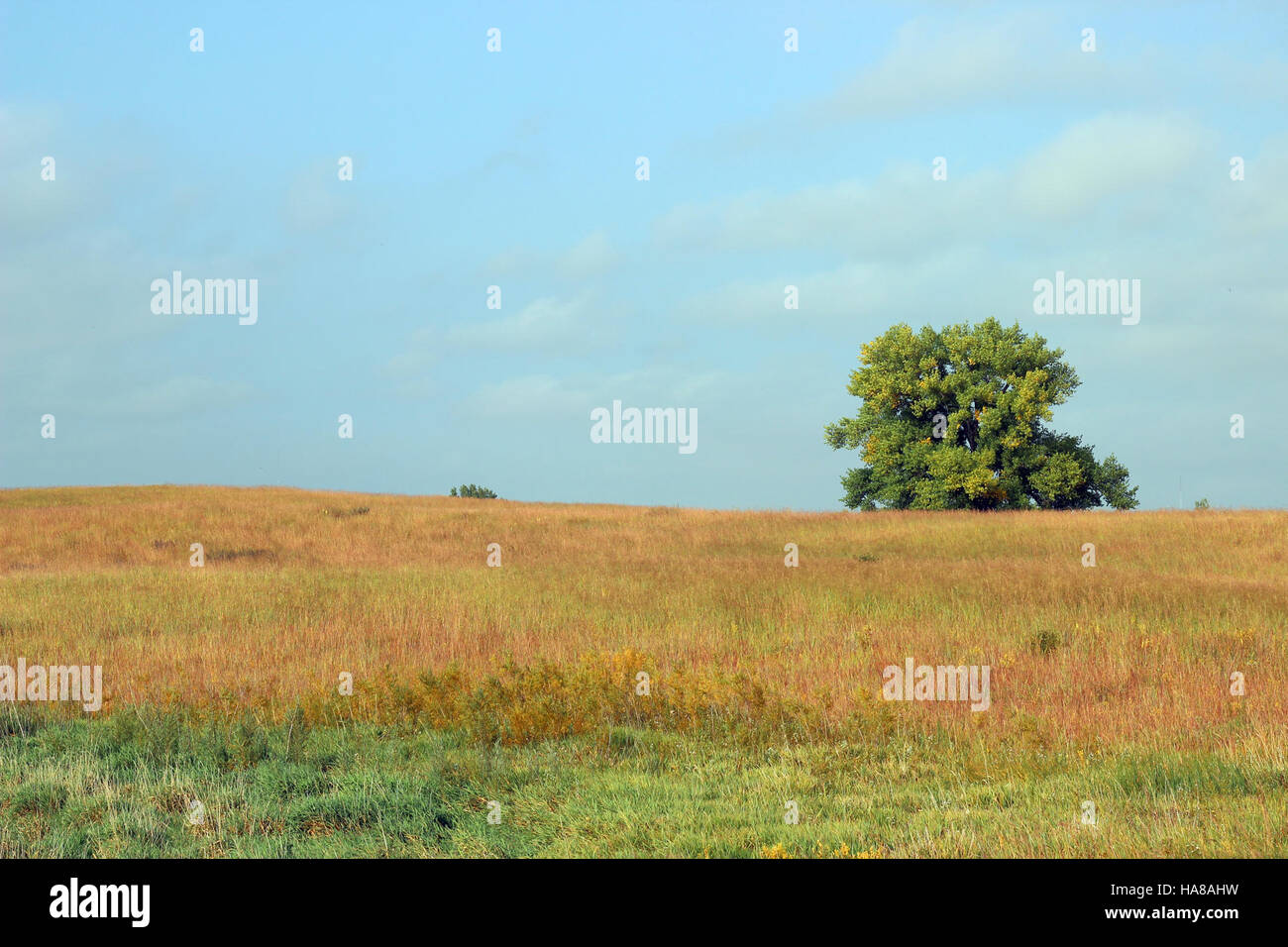 The prairie landscape in the National Park transforms during fall ...