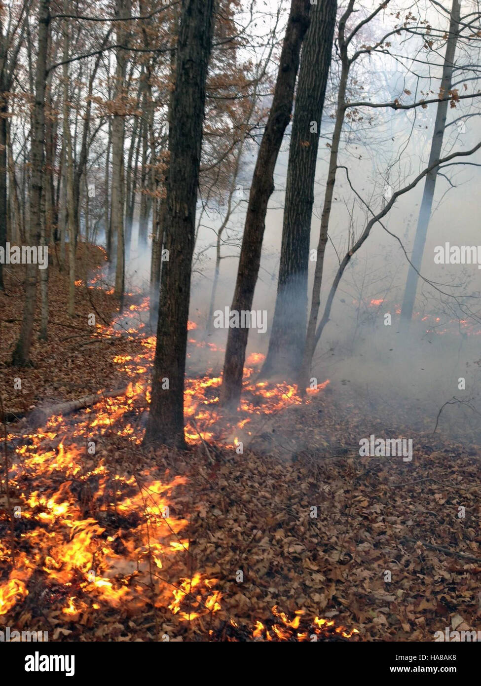 Prescribed burning at Crab Orchard National Wildlife Refuge is a vital ...