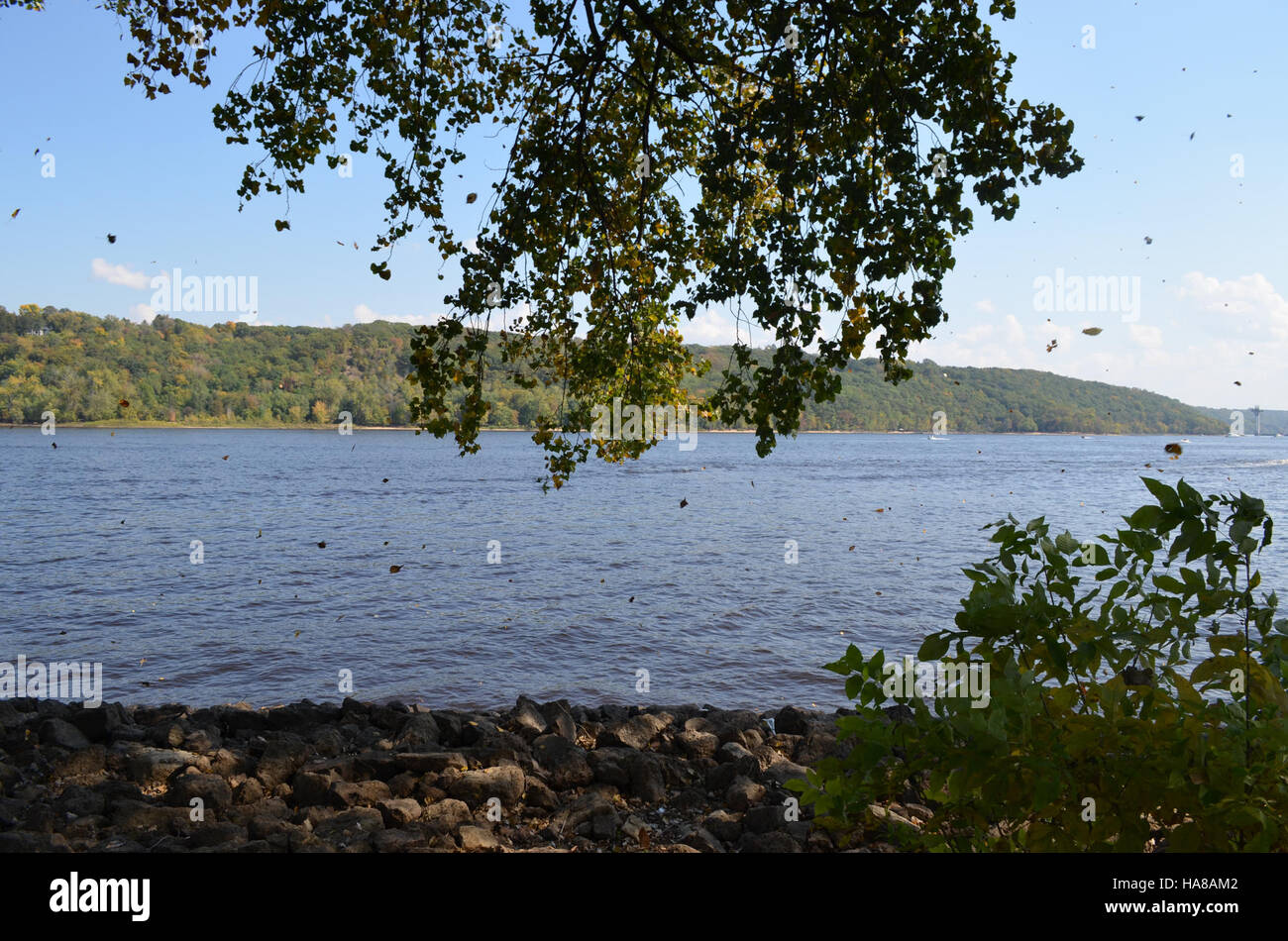 This image captures the seasonal transformation of Stillwater in a ...