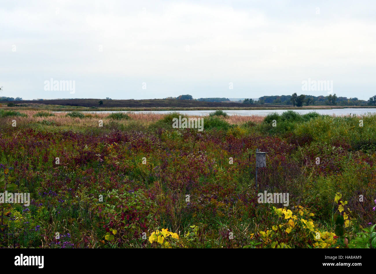 Collins Marsh Wildlife Management Area is a conservation site in the ...