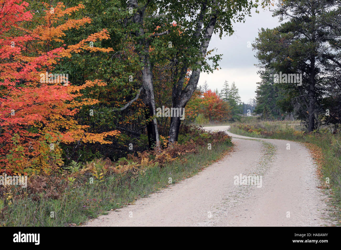 Seney national wildlife refuge hi-res stock photography and images - Alamy