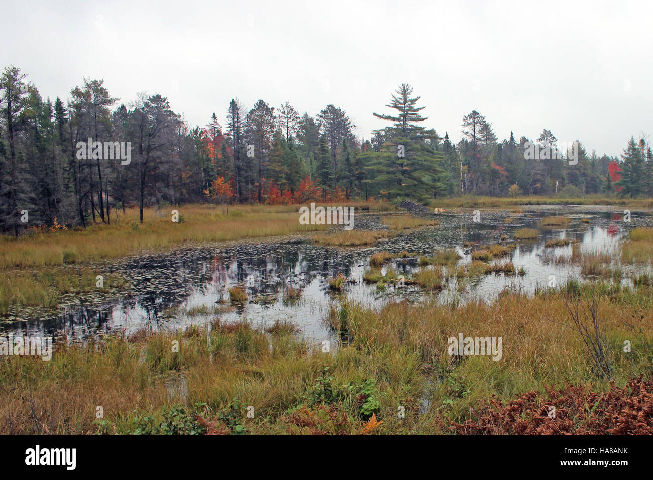 Seney National Wildlife Refuge, located in Michigan's Upper Peninsula ...