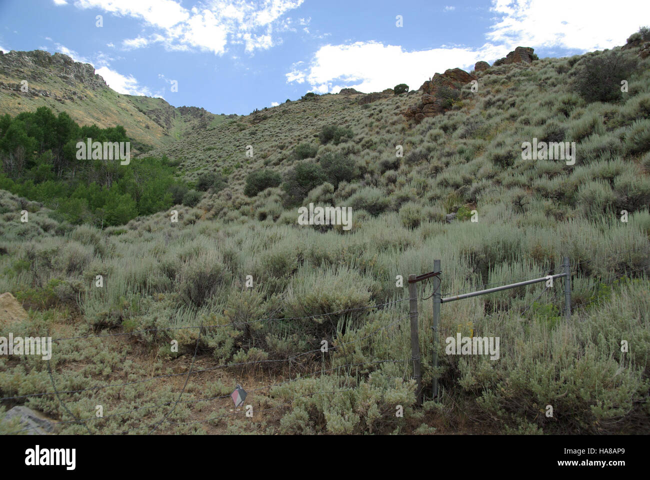 The Water Canyon Recreation Area in Nevada provides a natural space for ...