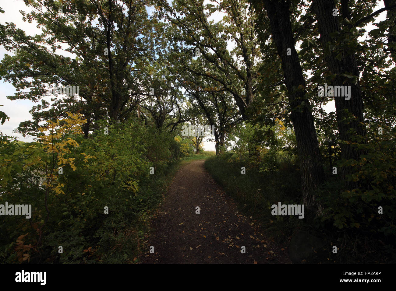 The Prairie Wetlands Learning Center offers trails that connect ...
