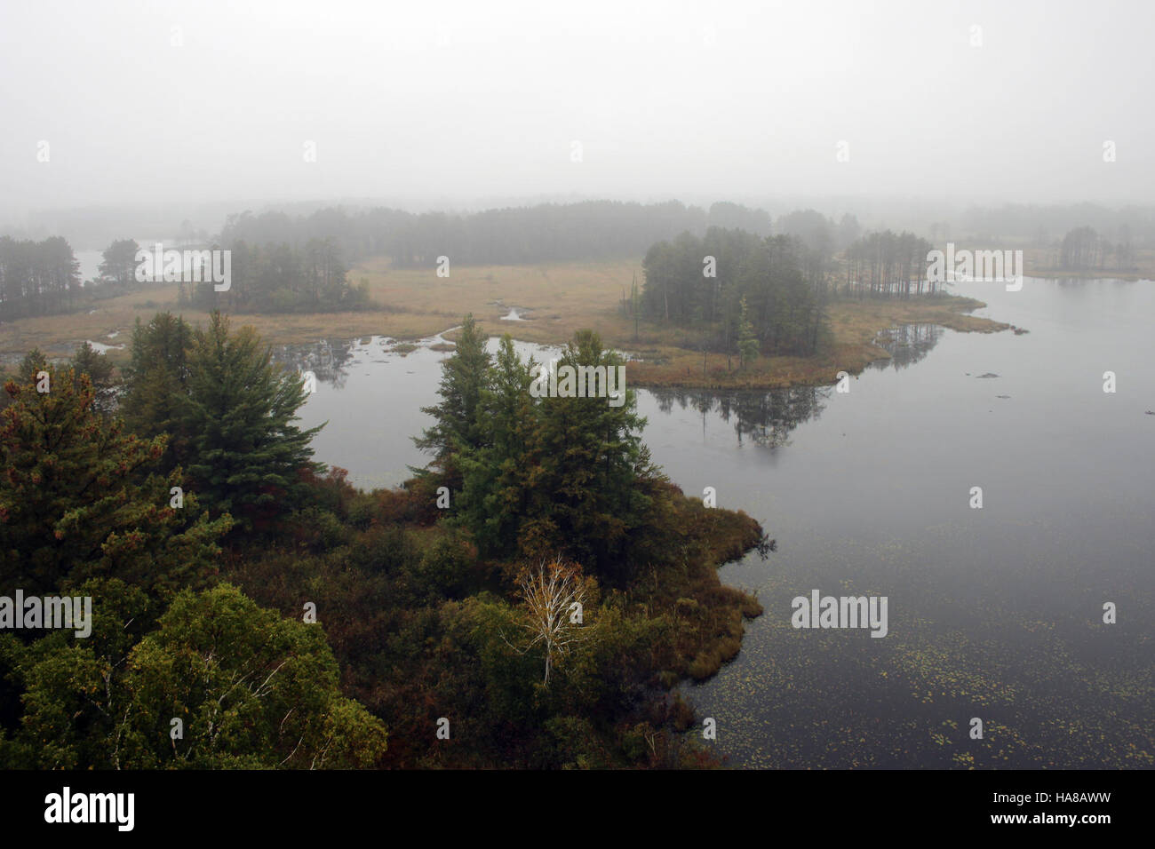 A misty day at Seney National Wildlife Refuge in Michigan provides a ...