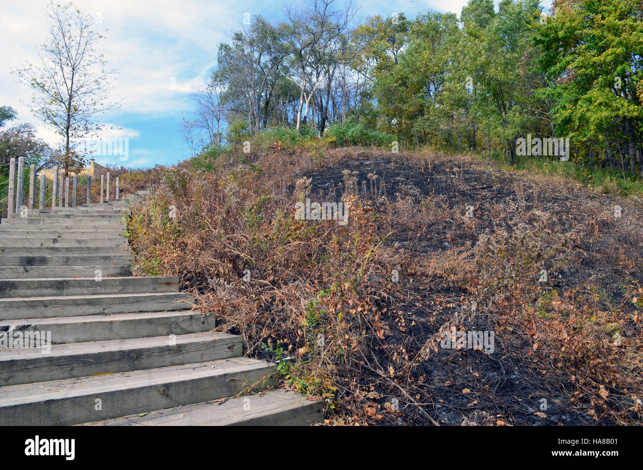 Prescribed burns are conducted in Midwest National Parks to manage ...