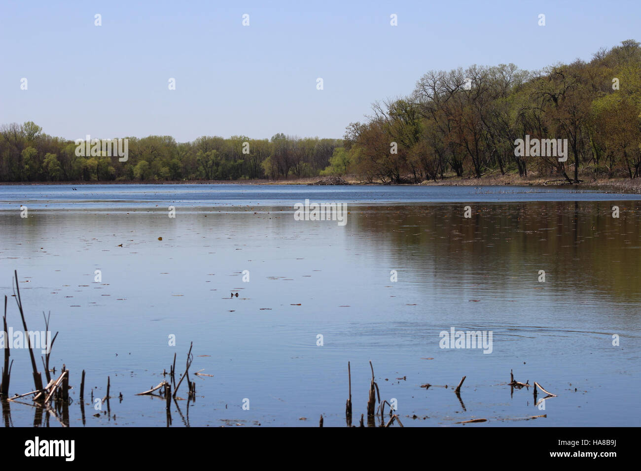 Brings life to outdoor spaces hi-res stock photography and images - Alamy