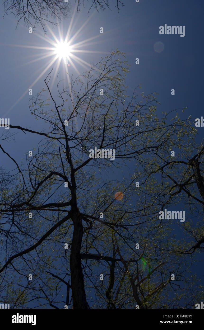 Springtime in Pennsylvania brings new growth and seasonal changes to ...