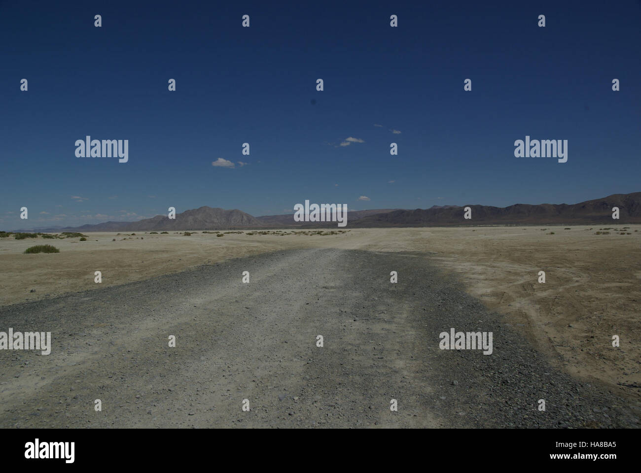 The Black Rock Desert Playa, located in Nevada, is a unique geological ...