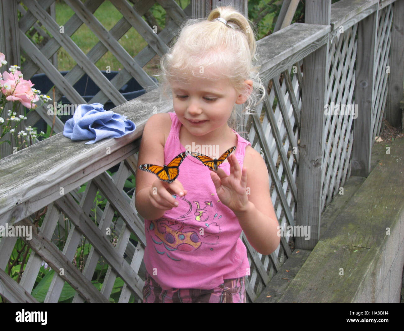 Young monarch hi-res stock photography and images - Alamy