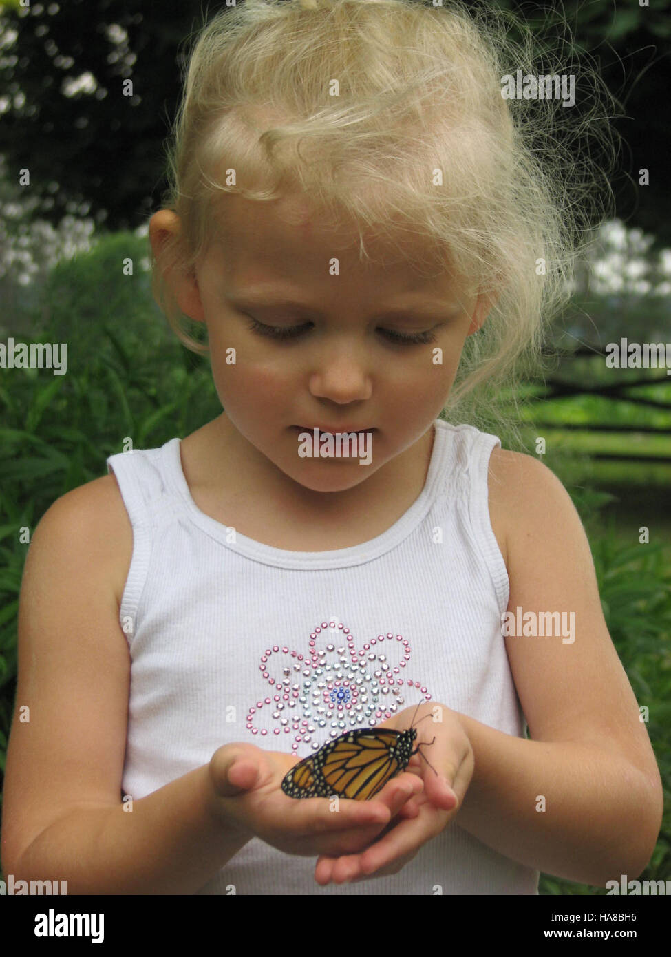 Young monarch hi-res stock photography and images - Alamy