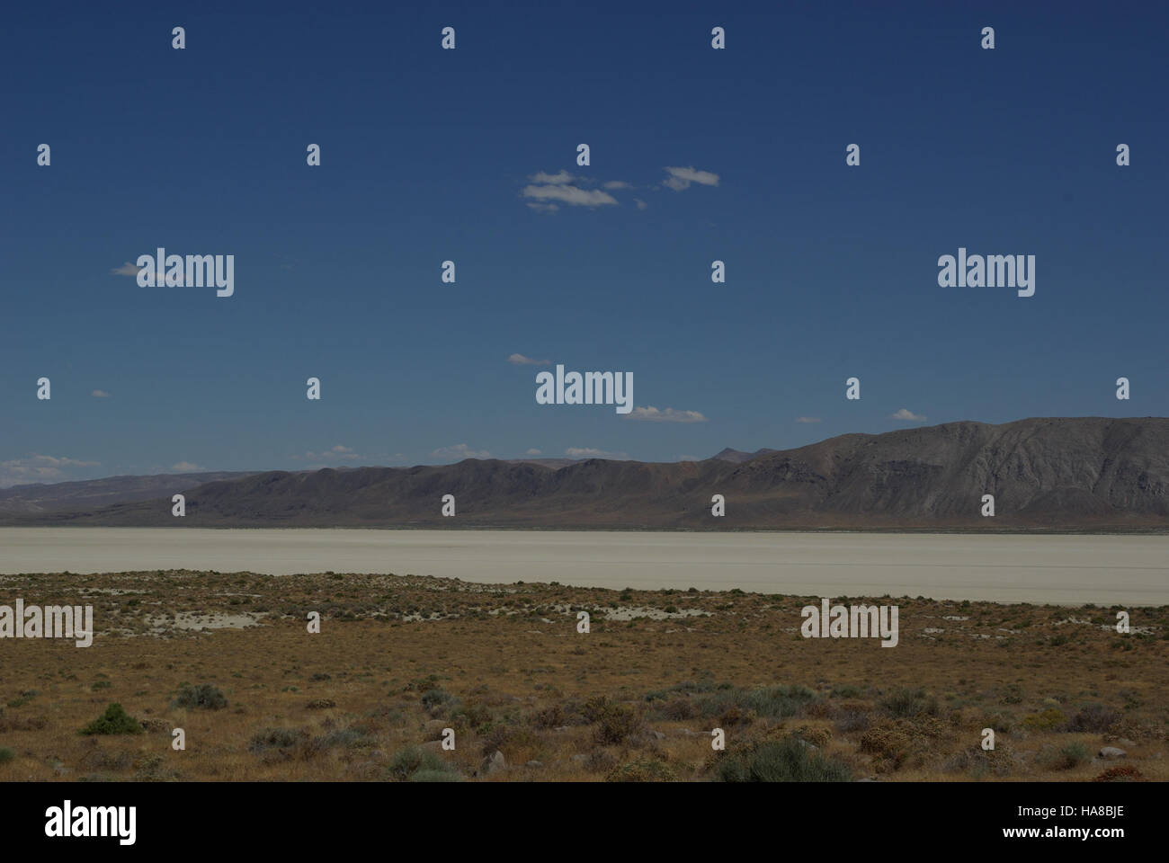 The Black Rock Desert Playa, a large, dry lakebed located in Nevada, is ...