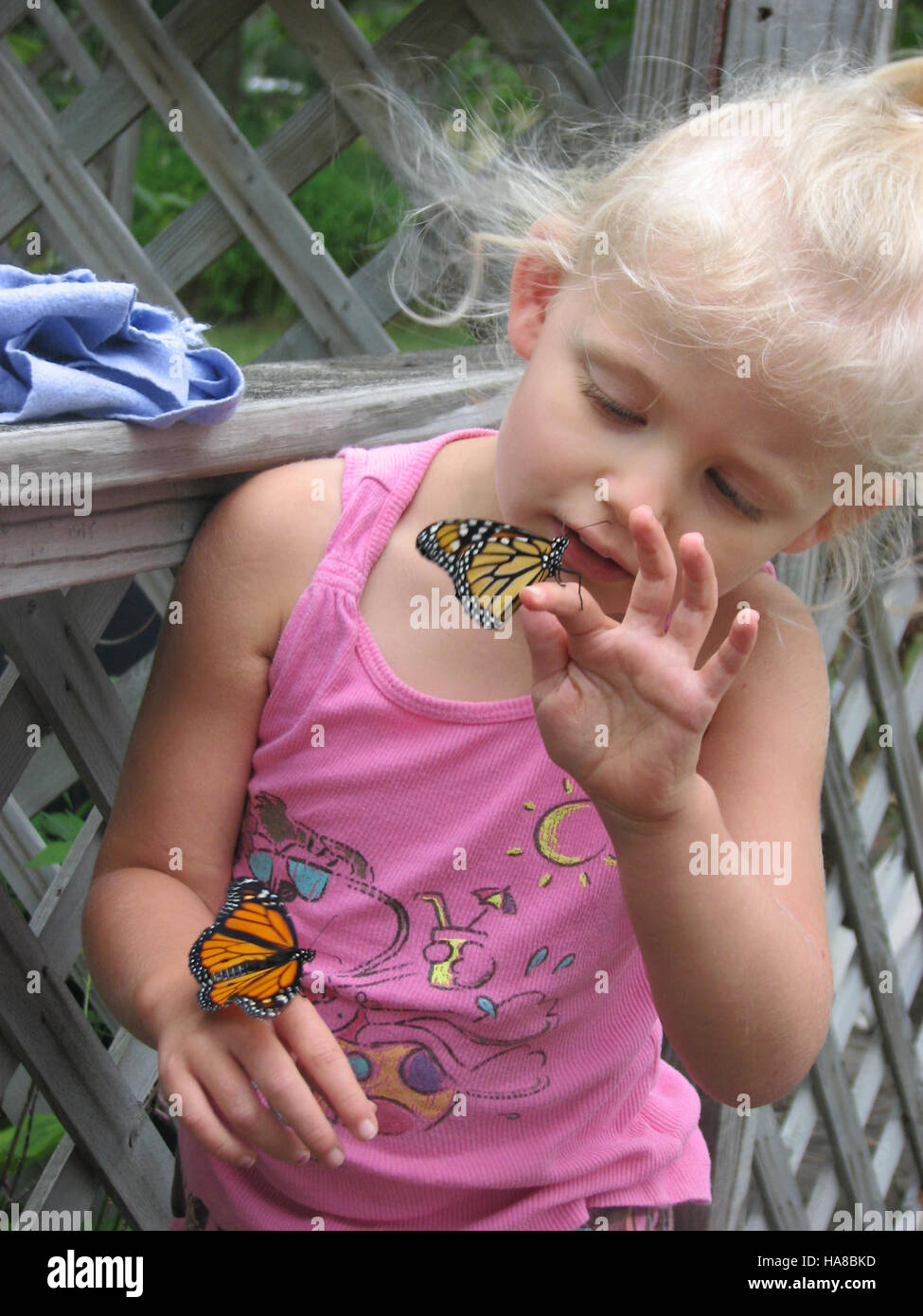 usfwsmidwest 18456896312 Young Monarch Enthusiast Stock Photo - Alamy