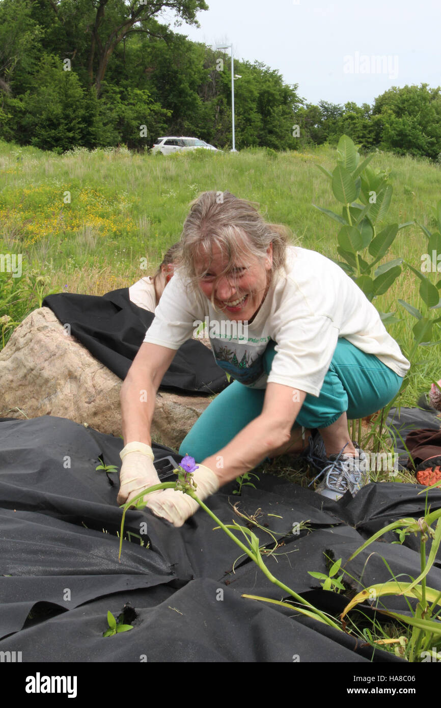 A Monarch Garden is being planted in the Midwest National Park to ...