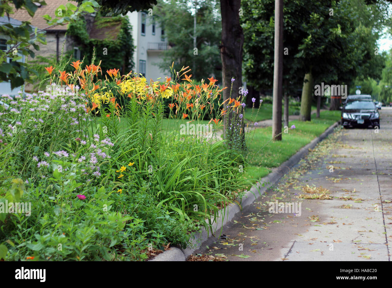 The image showcases an urban butterfly garden, emphasizing the ...