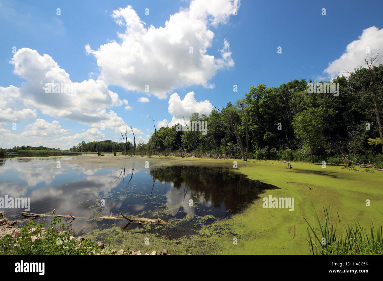 Horicon National Wildlife Refuge in Wisconsin is one of the largest ...