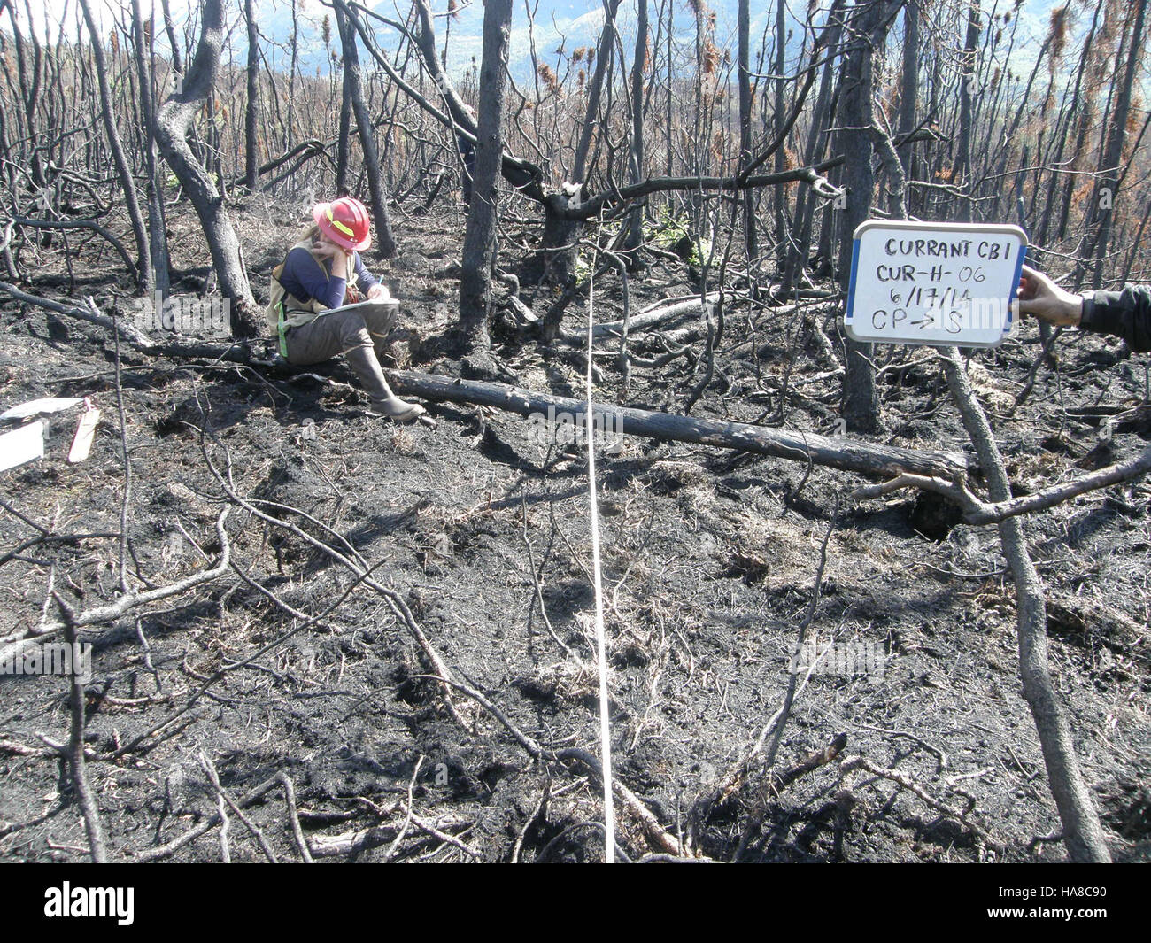 A National Park Service photograph documenting the Current Creek Fire ...