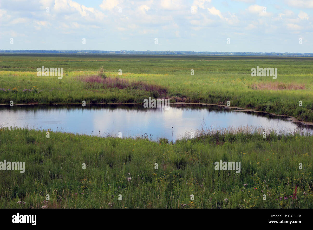 Horicon National Wildlife Refuge in Wisconsin is one of the largest ...