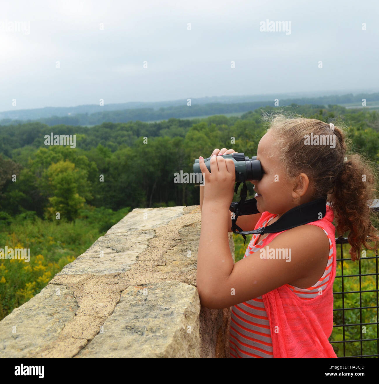 Ecological survey method hi-res stock photography and images - Alamy