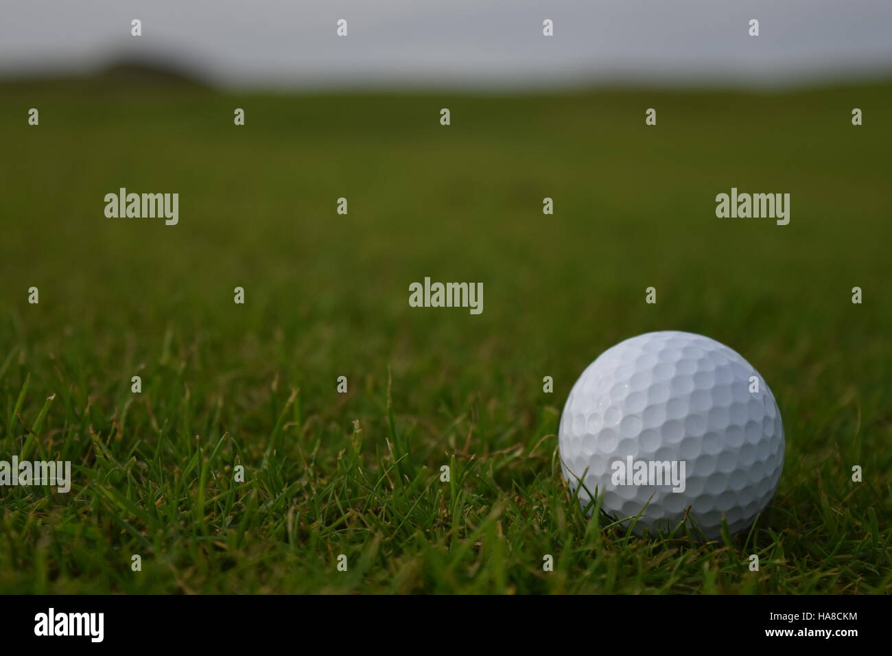 Golfcourse Stock Photos & Golfcourse Stock Images - Alamy