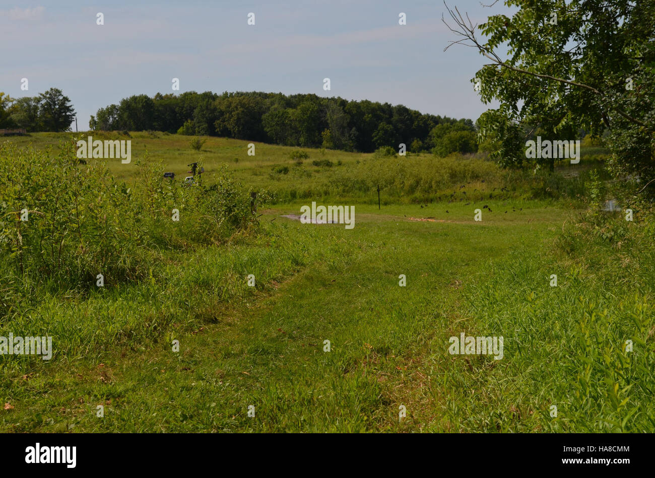 The arrival of migratory birds signals the peak of birdwatching season ...