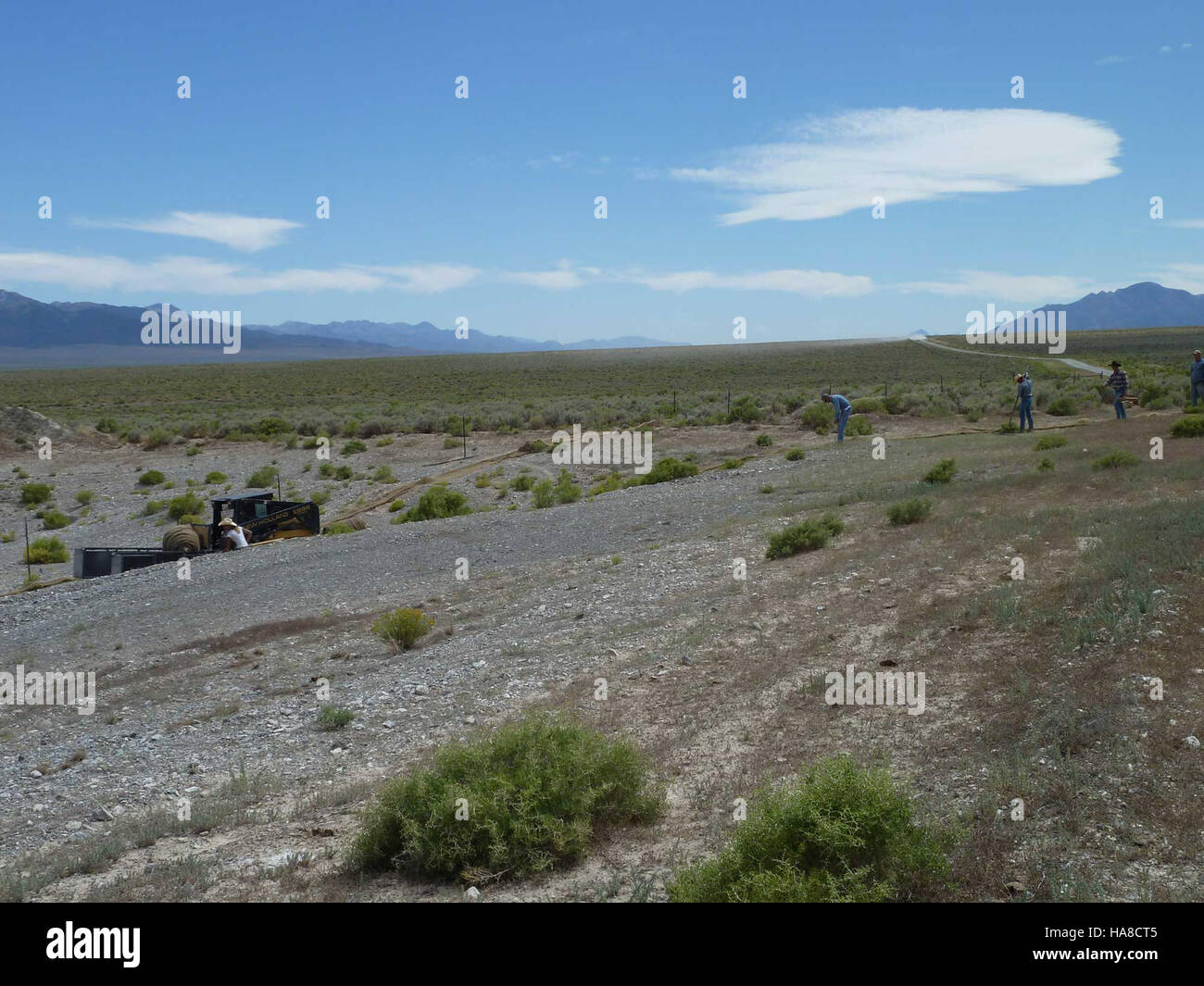 The Bureau of Land Management oversees wild horse management in Nevada ...