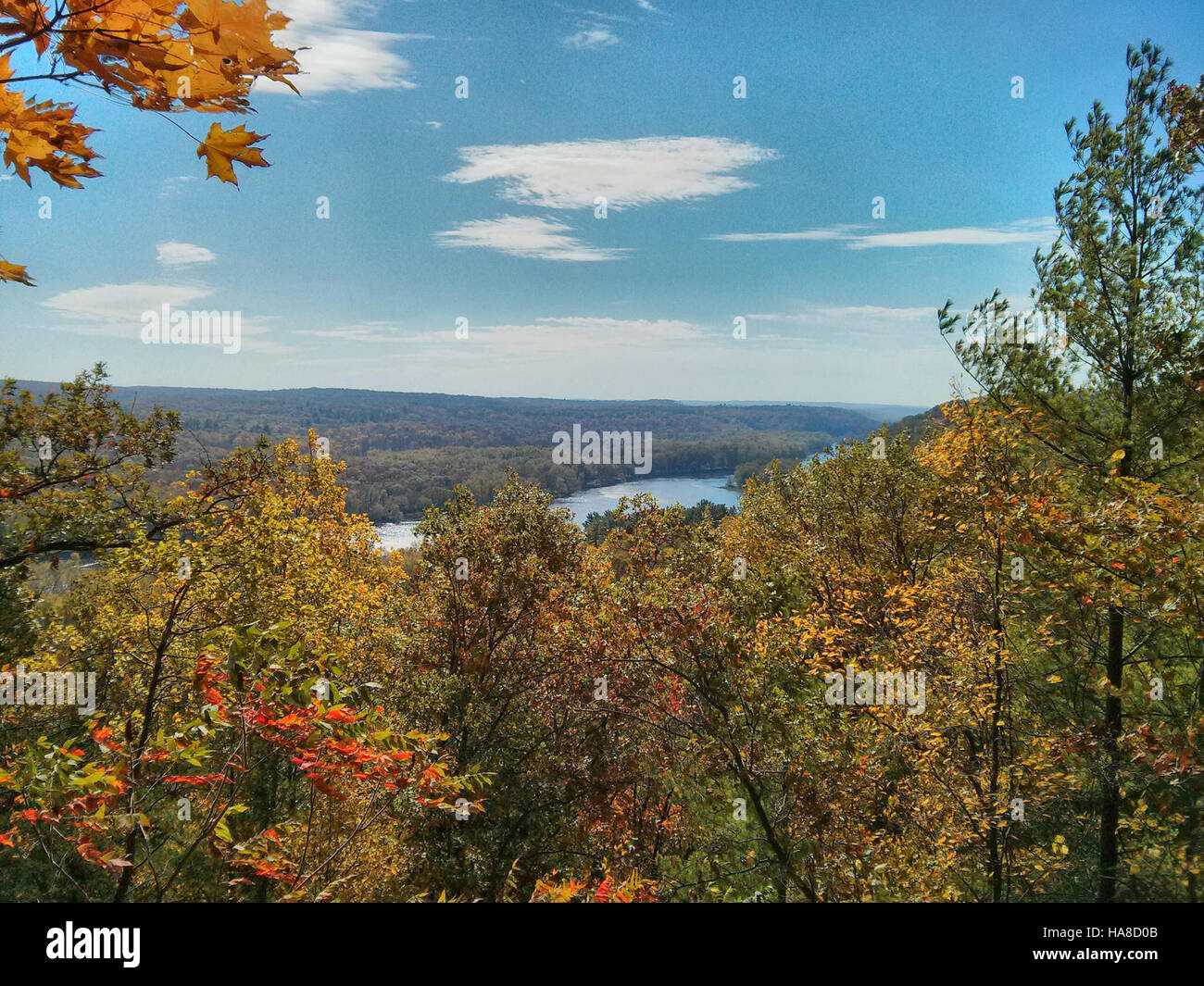 The vibrant fall colors of trees in a national park provide a stunning ...