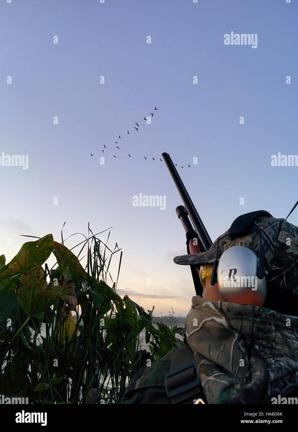 The image depicts Evan Nguyen participating in a regulated duck hunting ...