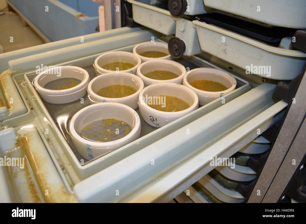 The Genoa National Fish Hatchery in Wisconsin incubates trout eggs as ...
