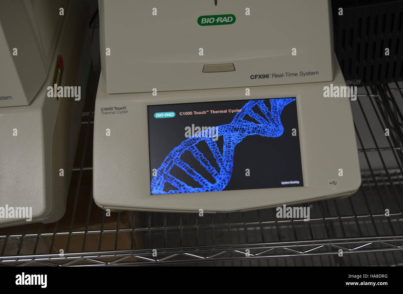 At the Whitney Genetics Lab, scientists use DNA sequencing technology ...
