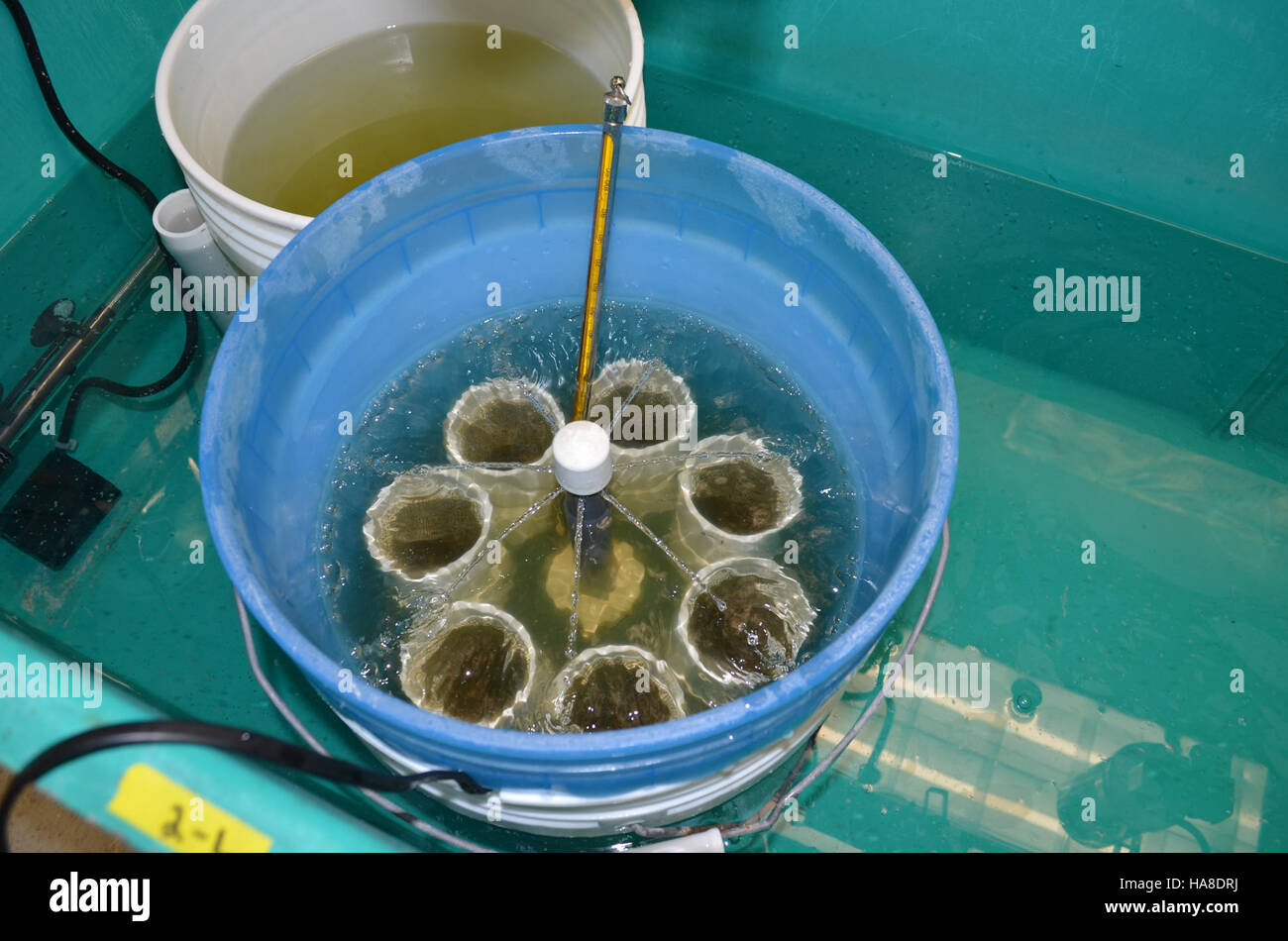 The La Crosse Fish and Wildlife Conservation Office works to protect ...