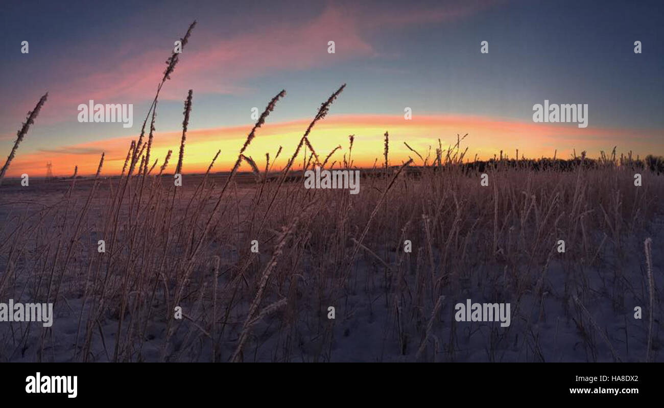 A frosty morning in the Midwest showcases the serene beauty of nature ...