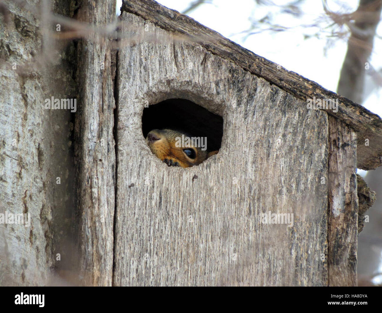 Squirrel Hide Out, a site in the Midwest region’s national parks ...