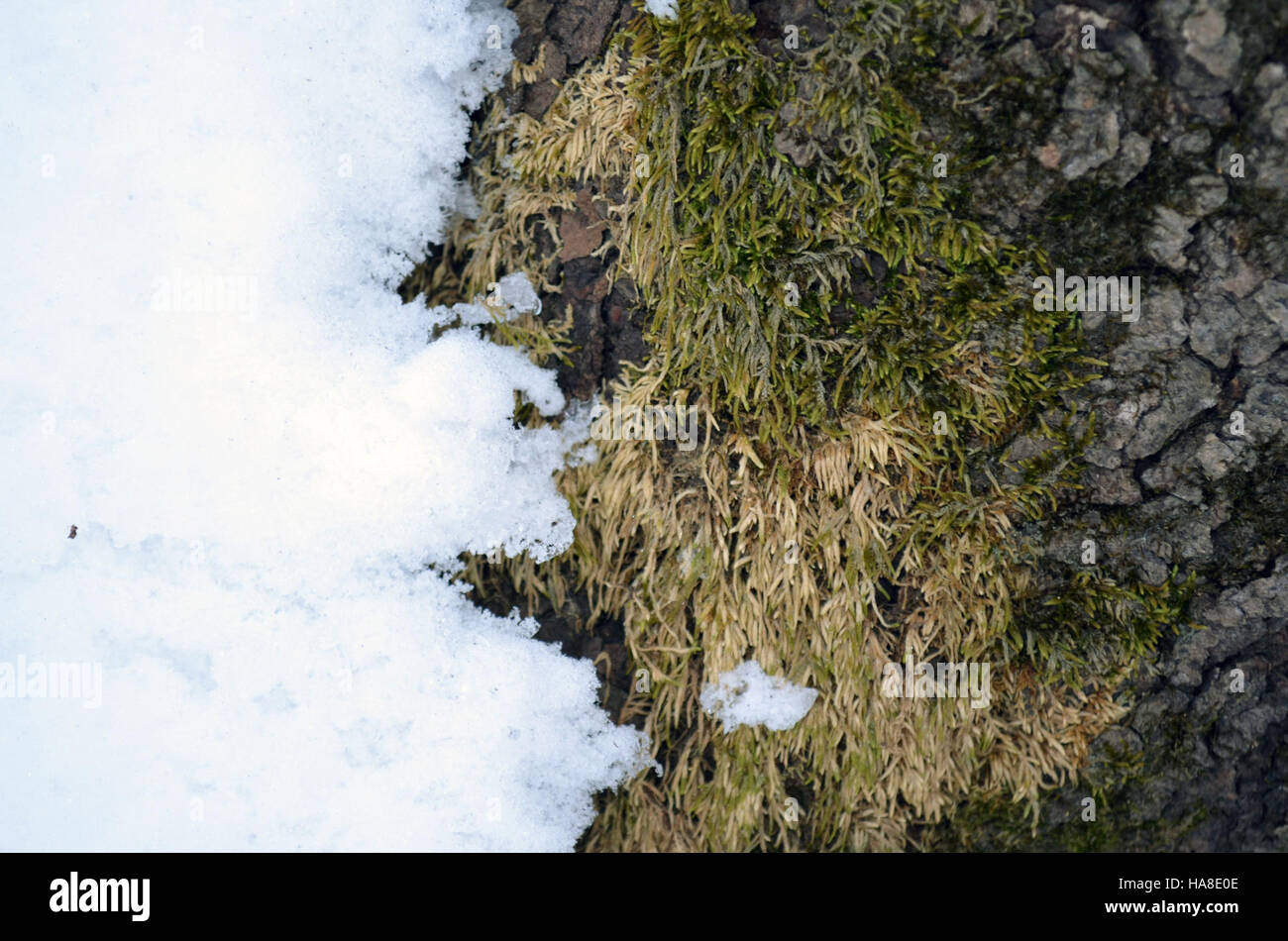 Important public spaces within hi-res stock photography and images - Alamy