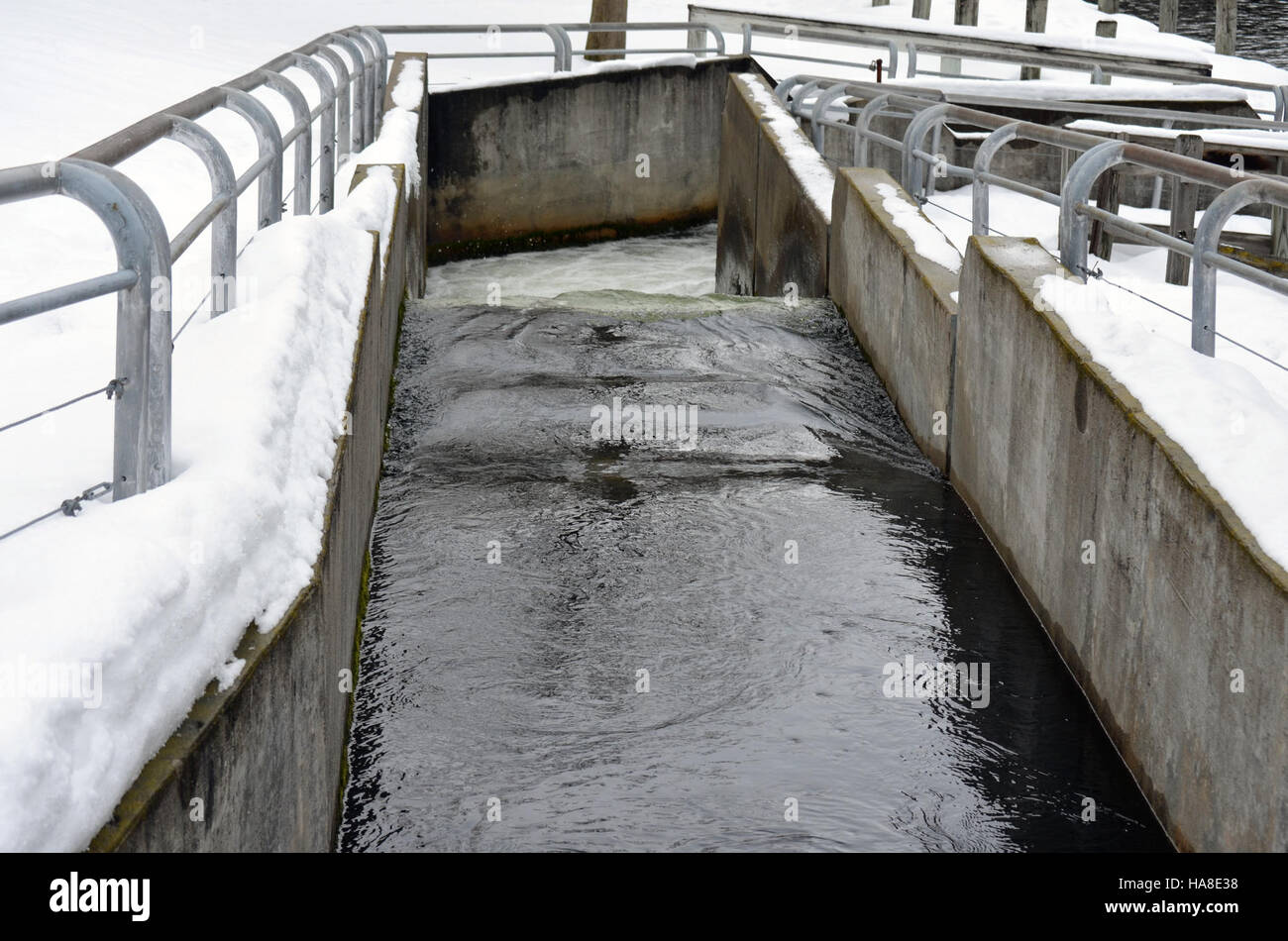 The Boardman River Fish Ladder is a key feature for fish migration in a ...