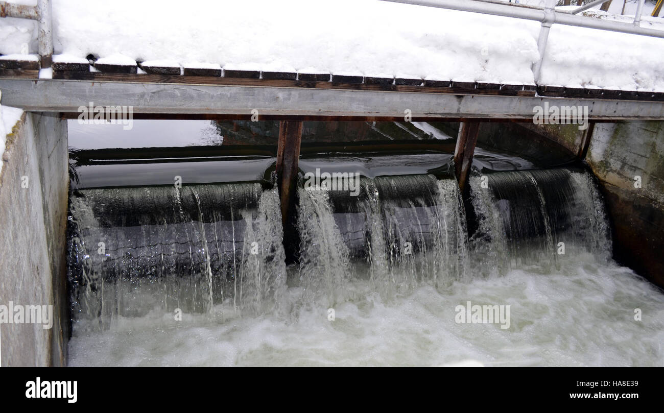 A river barrier project in the Boardman River area within a national ...