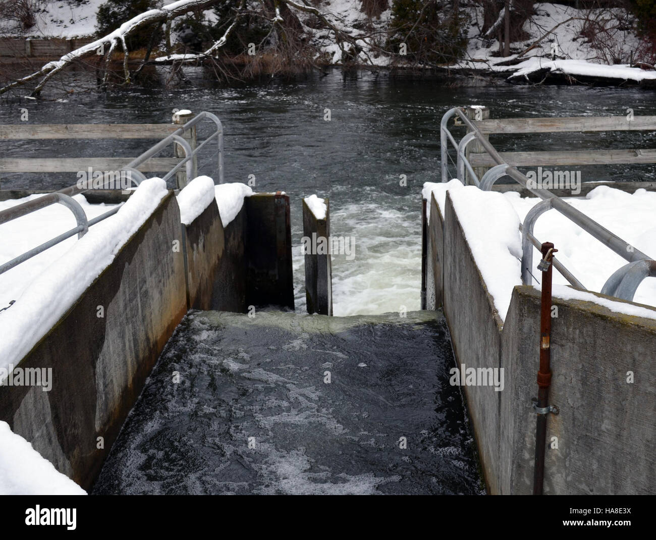 The Boardman River Fish Ladder, located in Michigan, is a vital feature ...