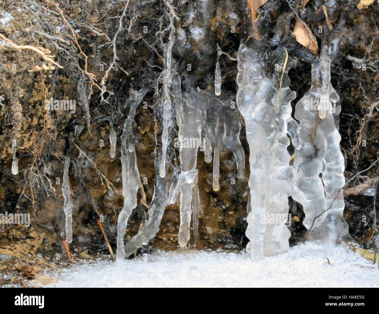 Thaw and Freeze National Park showcases the dynamic processes of ...