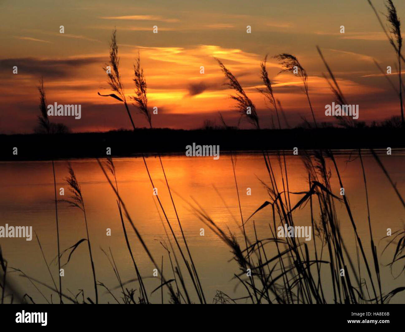 usfwsmidwest 25424654314 Wetland Sunset Stock Photo - Alamy