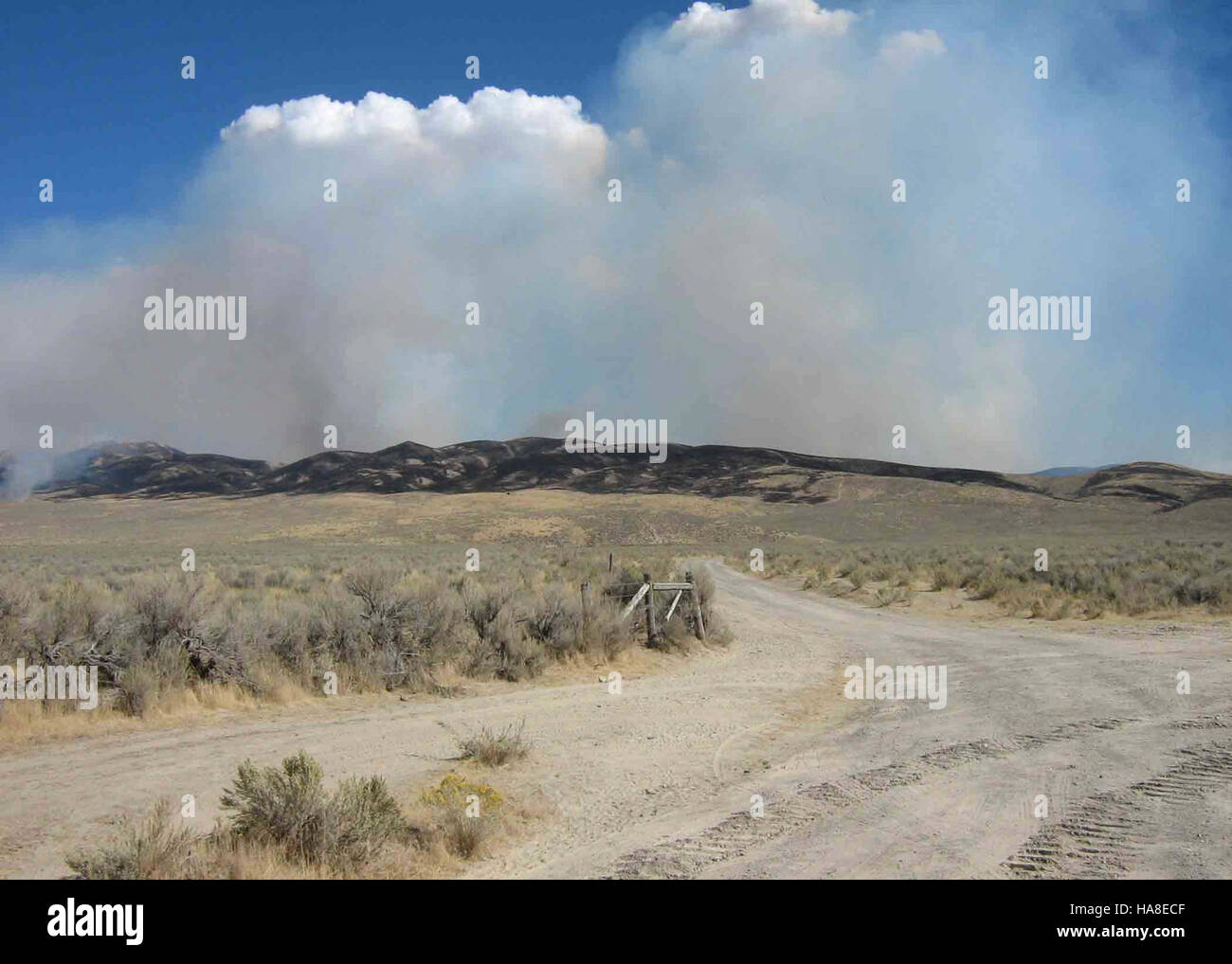 Dunphy hi-res stock photography and images - Alamy