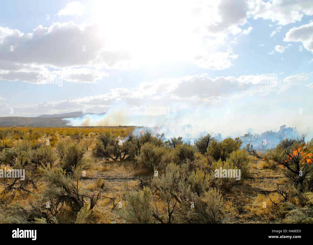 The Dunphy Complex Fires, including the Indian Creek Fire, were managed ...