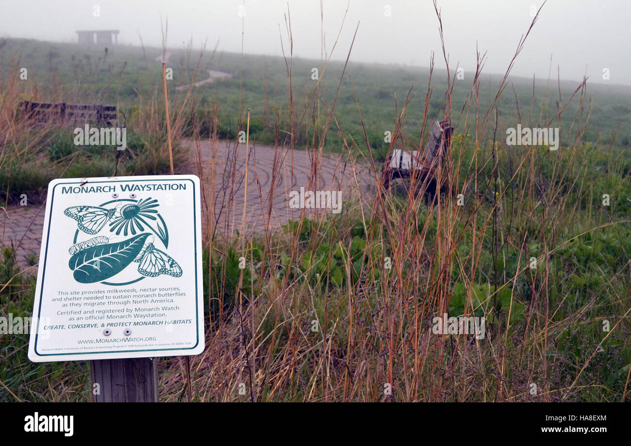 Monarch waystation hi-res stock photography and images - Alamy