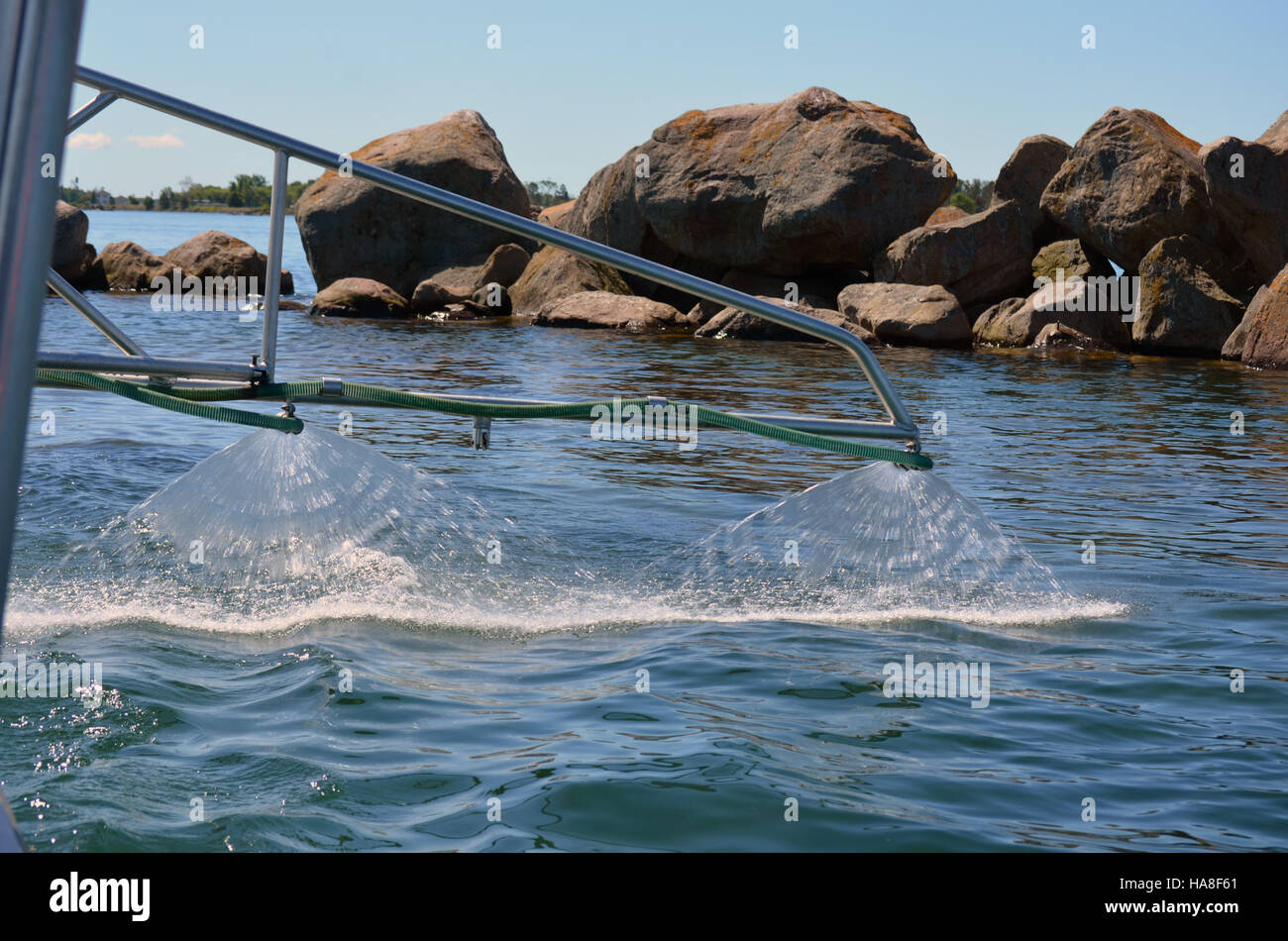 The application of Bayluscide, an aquatic herbicide, in the St. Mary's ...