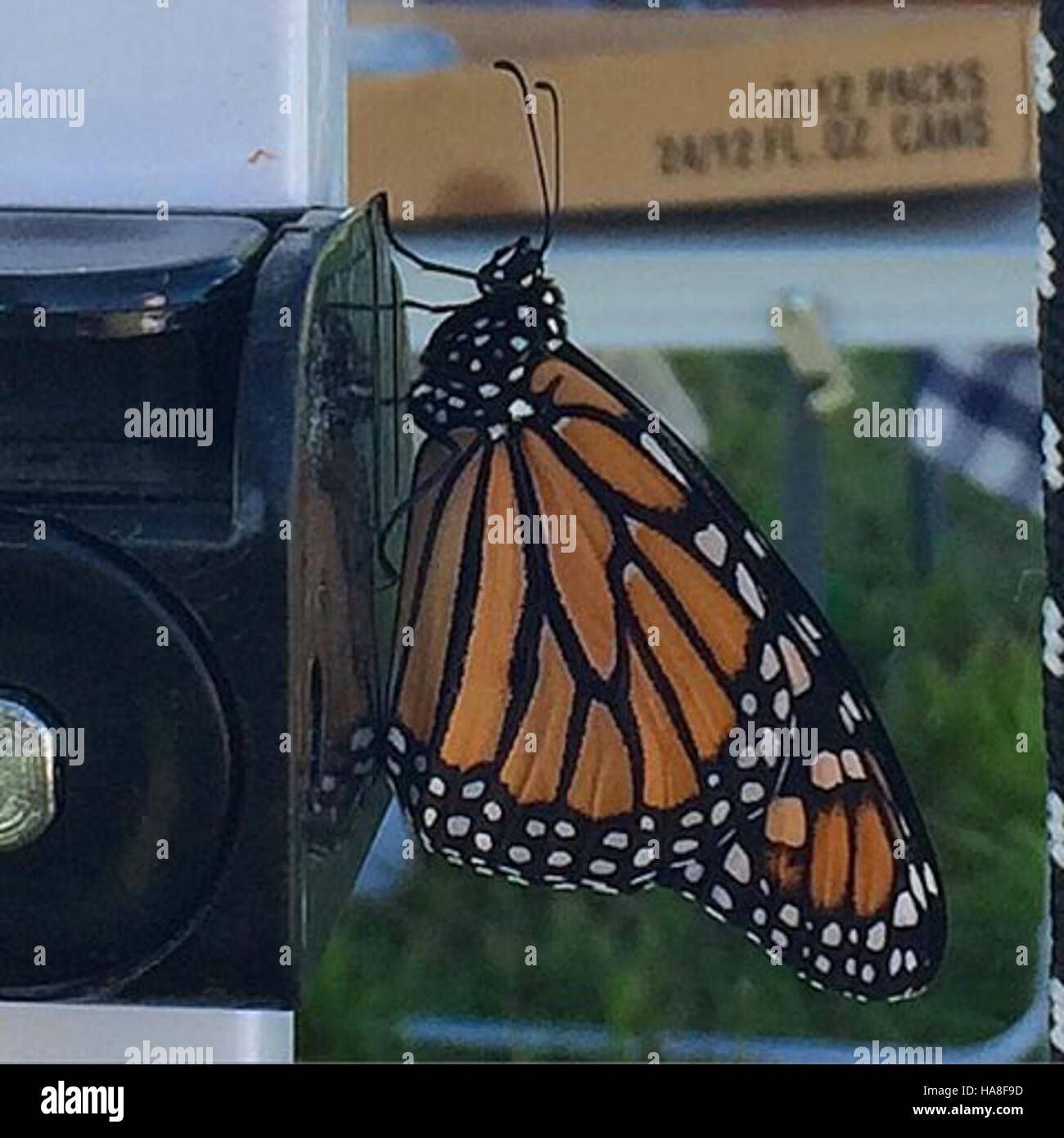 This photograph, captured by the U.S. Fish and Wildlife Service ...