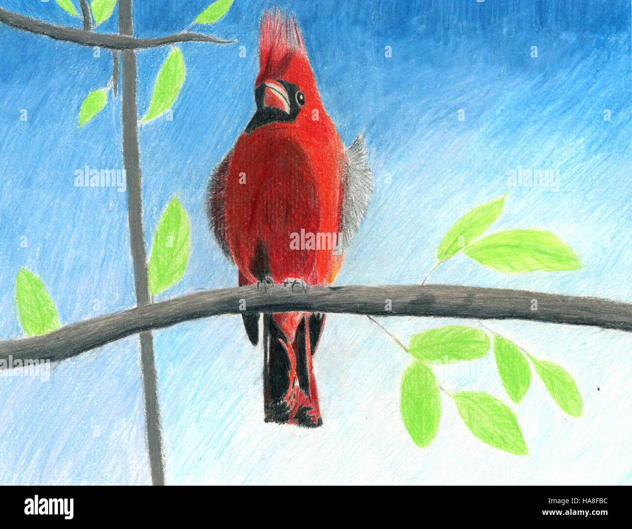 This photograph by William Meng captures the vibrant Northern Cardinal ...