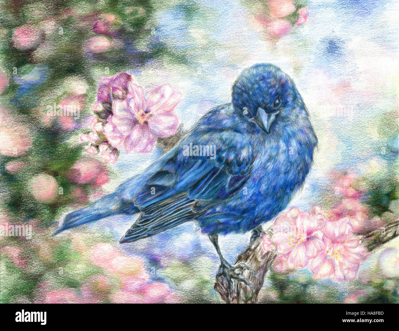 Photographed by Ashley Fan from Novi, Michigan, the Indigo Bunting is ...